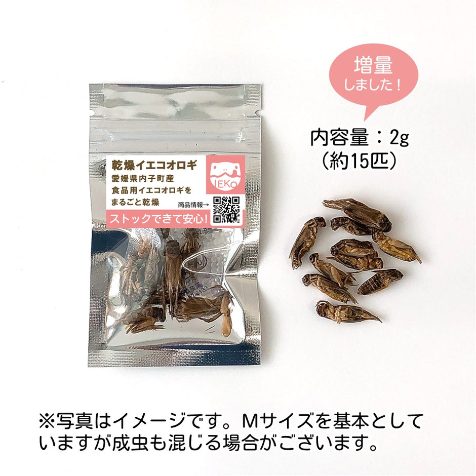 lineup – IEKO｜活きイエコオロギ直送便