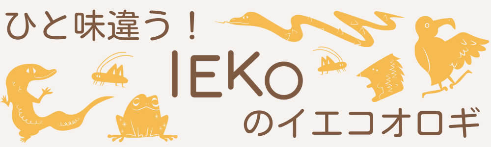 活きイエコオロギ – IEKO｜活きイエコオロギ直送便